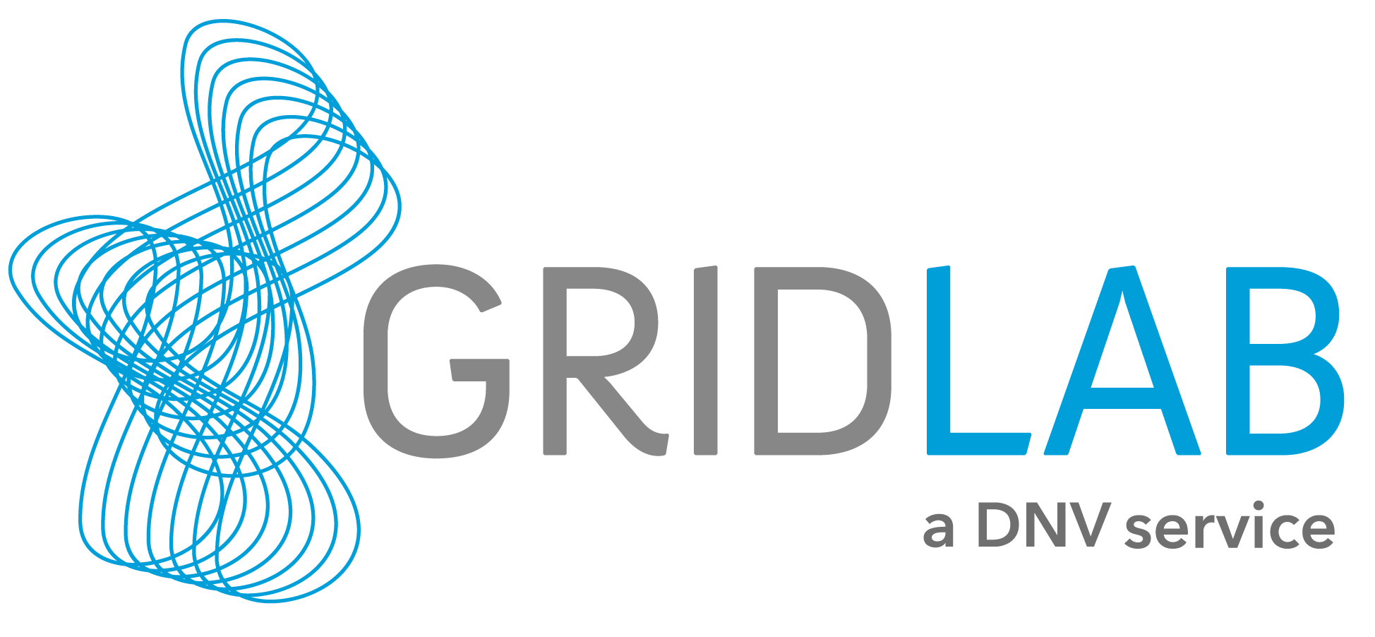 Company-Gridlab - gridlab